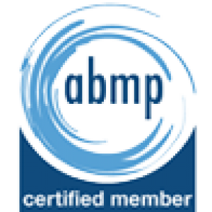 abmp_logo_certified - Massage in Matthews North Carolina